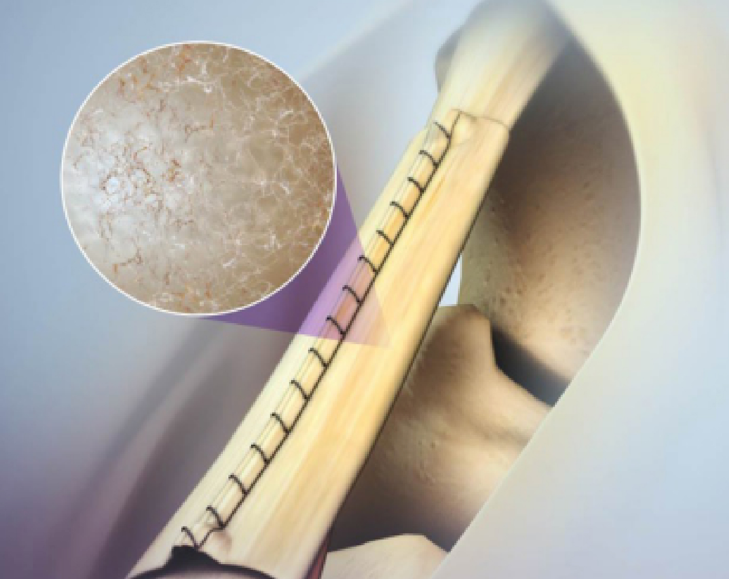 single-product-img1 - Embody