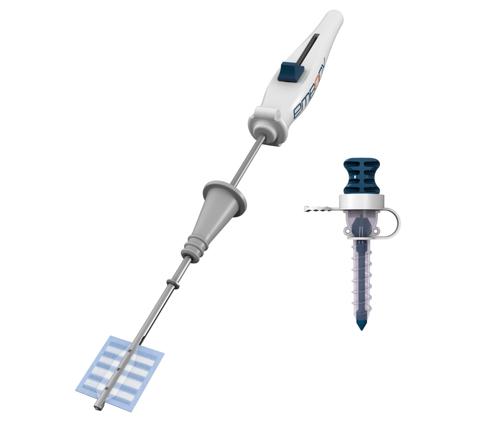 TAPESTRY RC - Embody